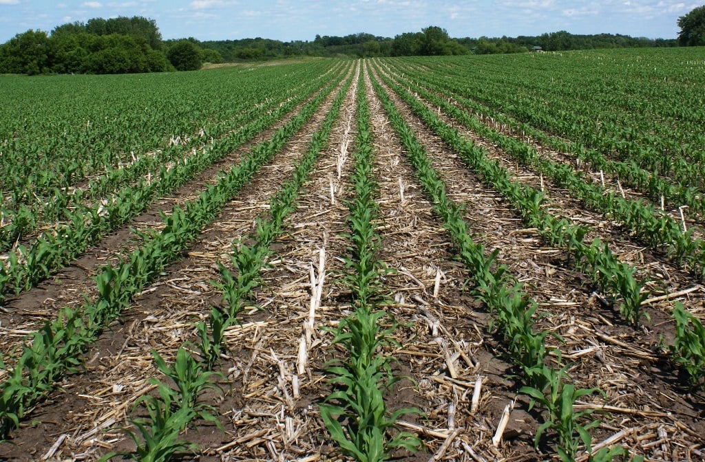 Top 10 Reasons To Consider Strip-Till