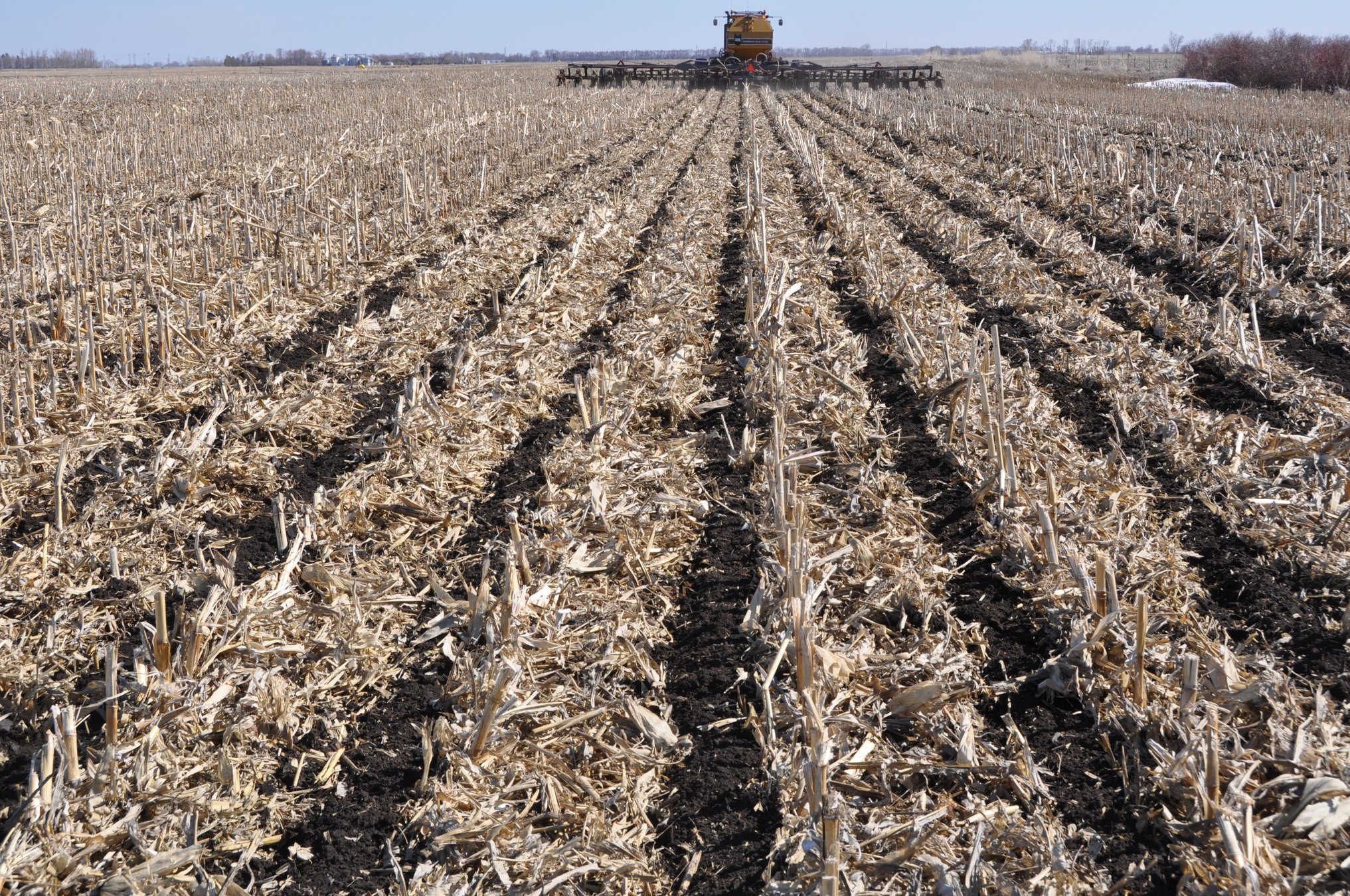 The Evolution of Tillage