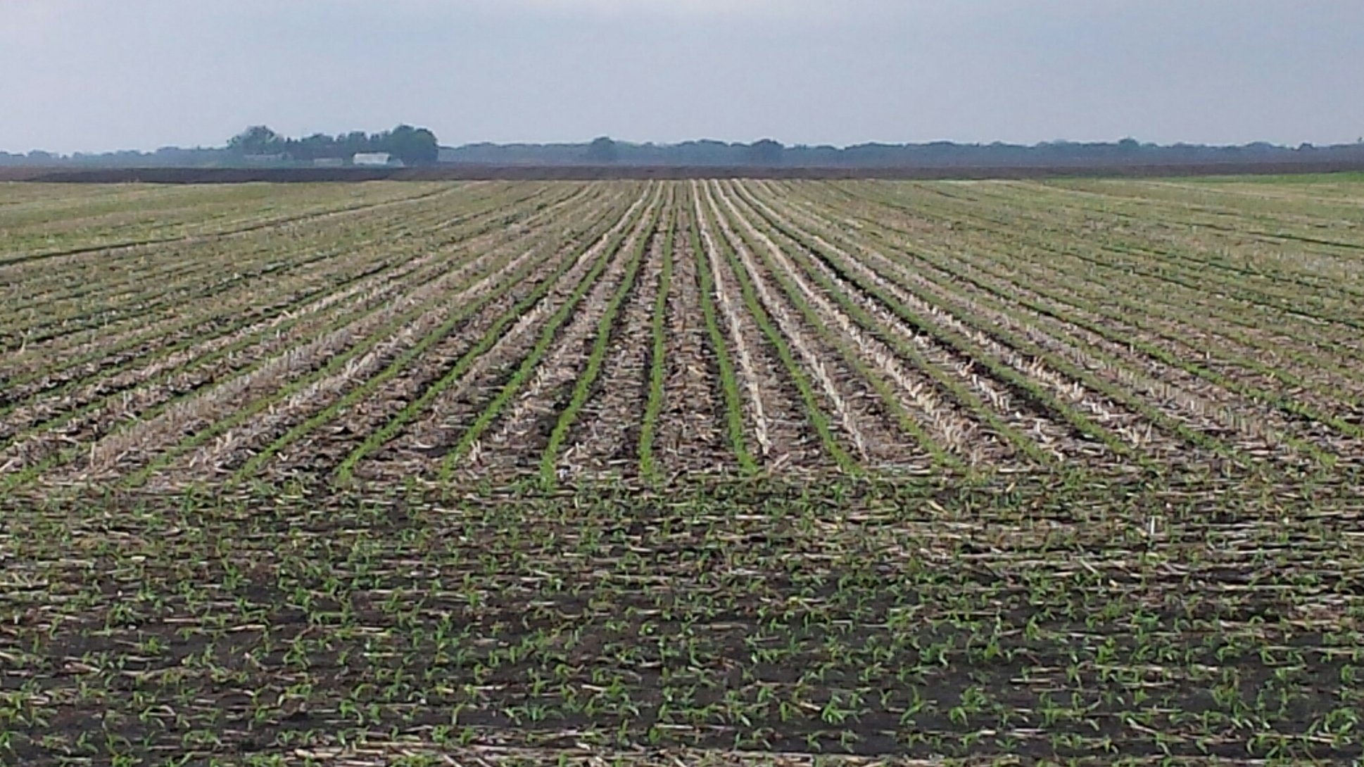 Making Dollars and Sense with Conservation Tillage