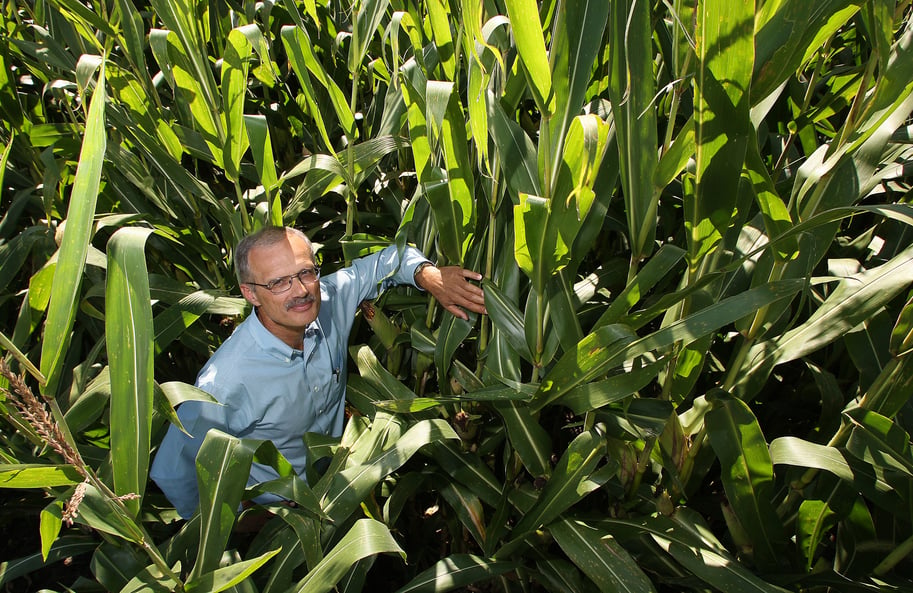 Is Zone Placement Better Than Banding Fertilizer?