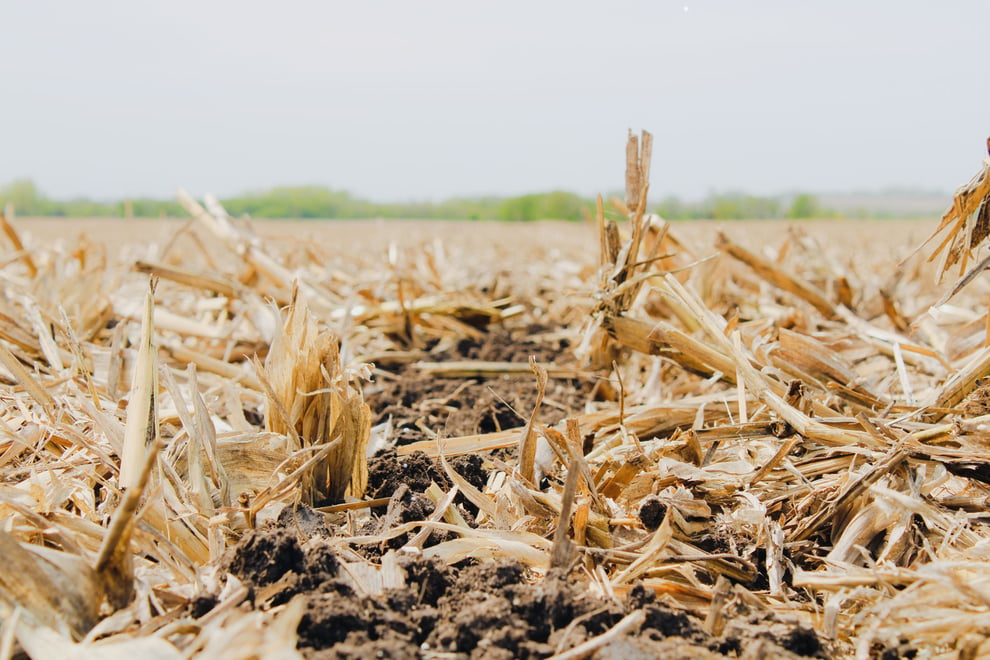 The Evolution of Tillage