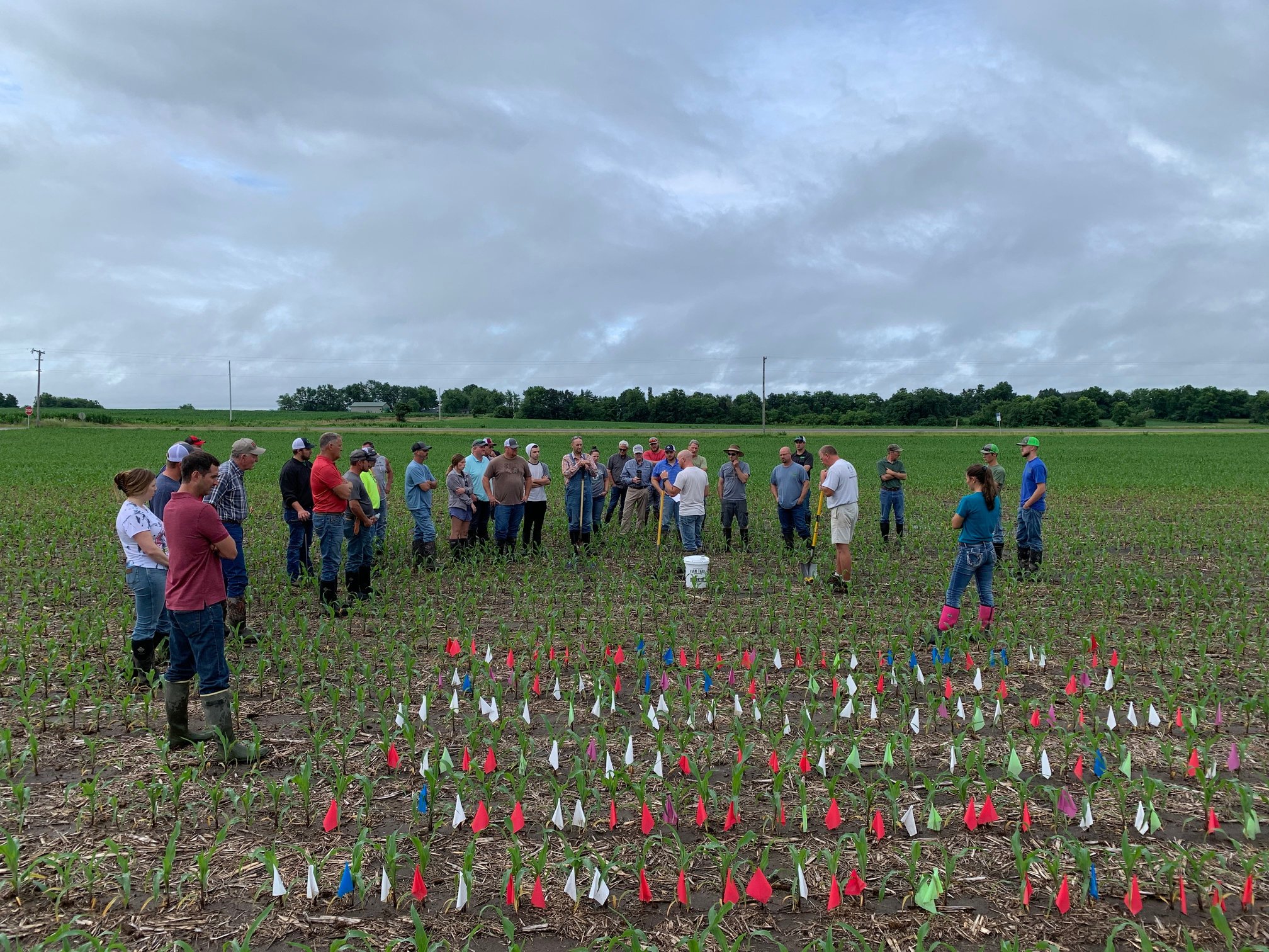 What are the Benefits of a Flag Test?