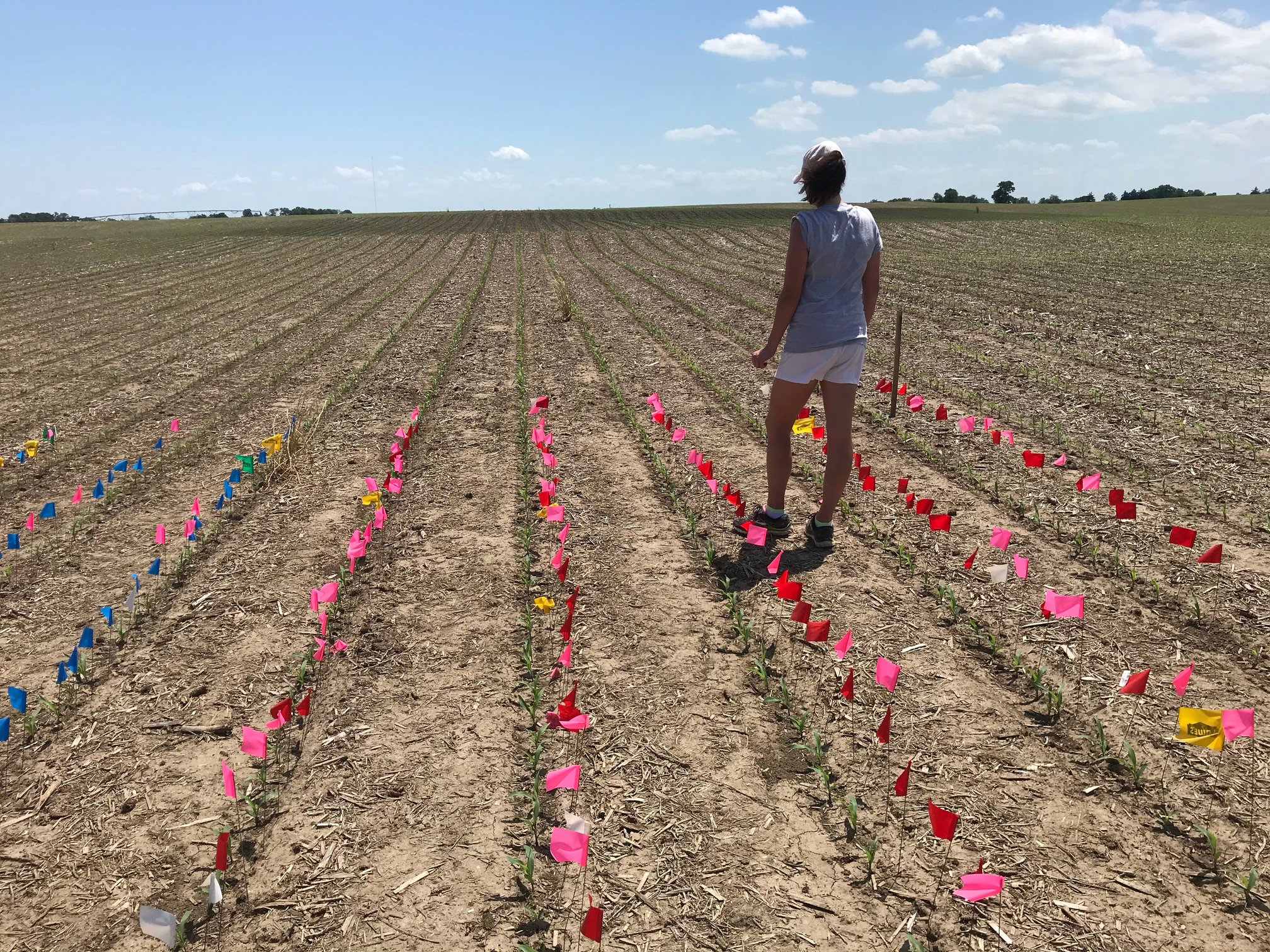 What are the Benefits of a Flag Test?
