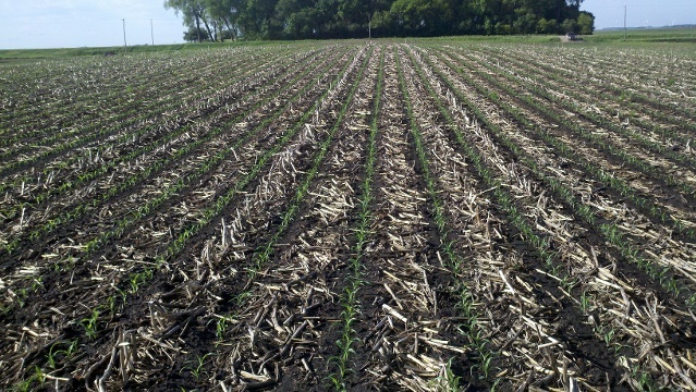 My Journey to Strip-Till