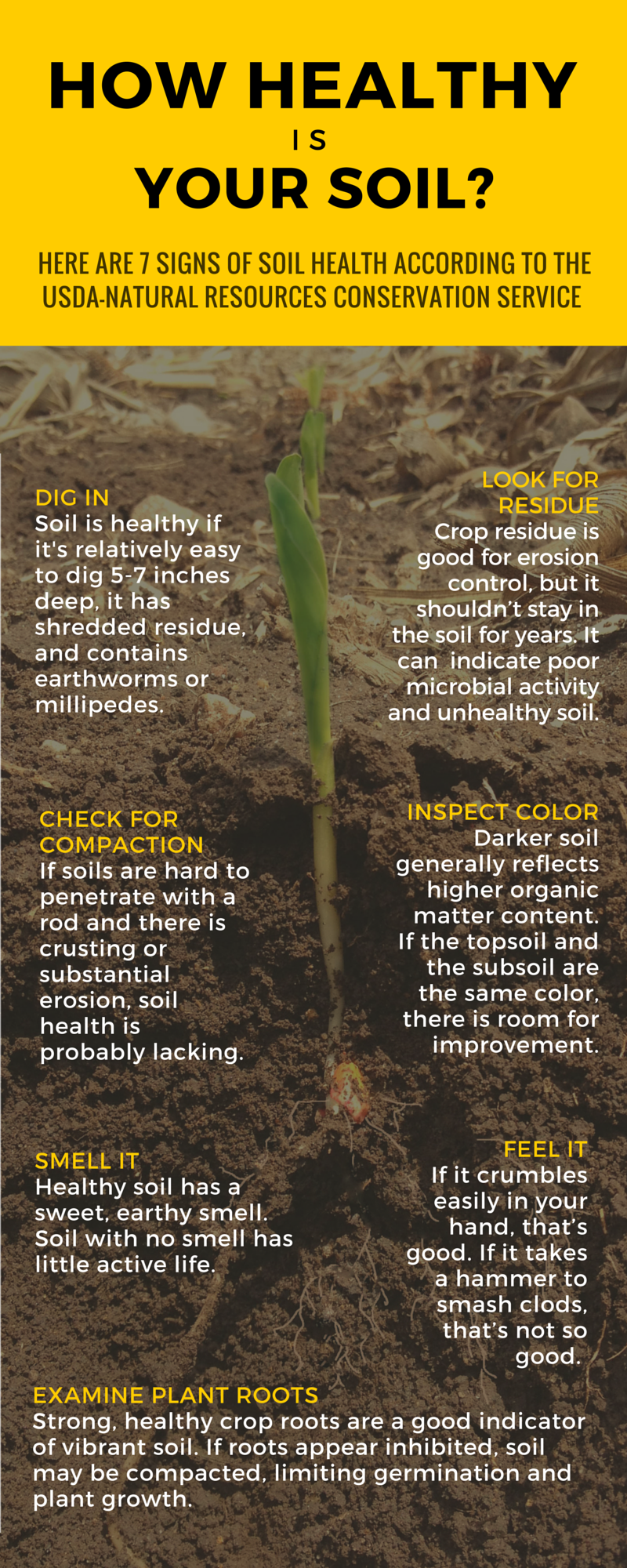 Strip-Till Practices Promote Soil Health