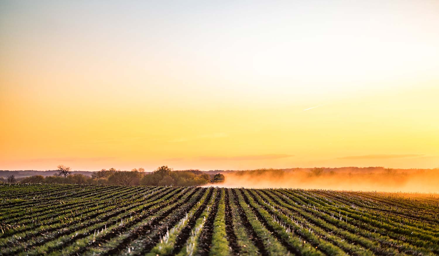 Environmental Tillage Systems | SoilWarrior & Tilling Equipment